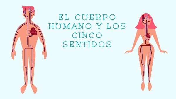 el cuerpo humano y los cinco sentidos | Genially