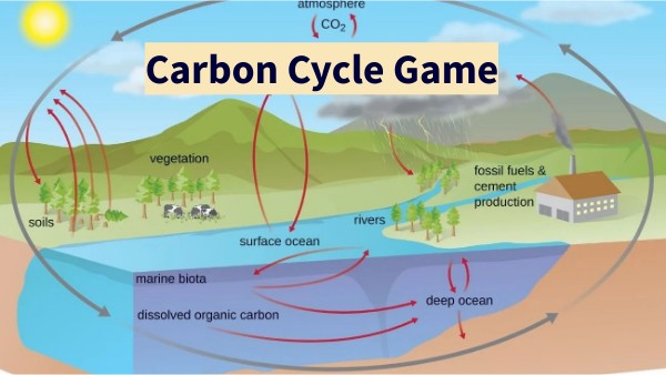 Carbon Cycle Game