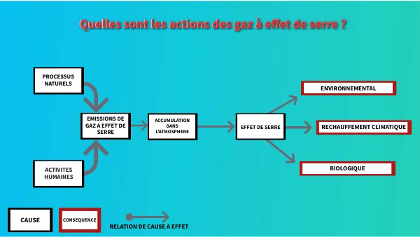 Schema fonctionnel ES | Genially