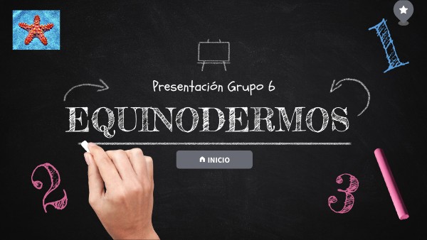 Equinodermos :v | Genially