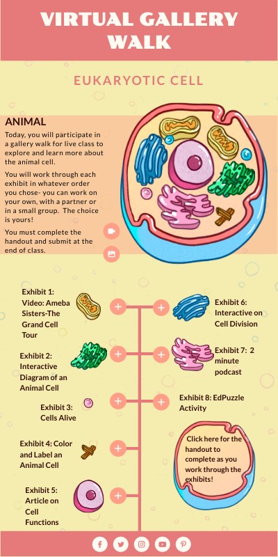 CELL VERTICAL INFO | Genially
