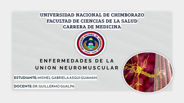 SEMANA 17 | Genially