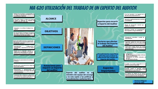 NIA 620 UTILIZACIÓN DEL TRABAJO DE UN EXPERTO DEL AUDITOR | Genially