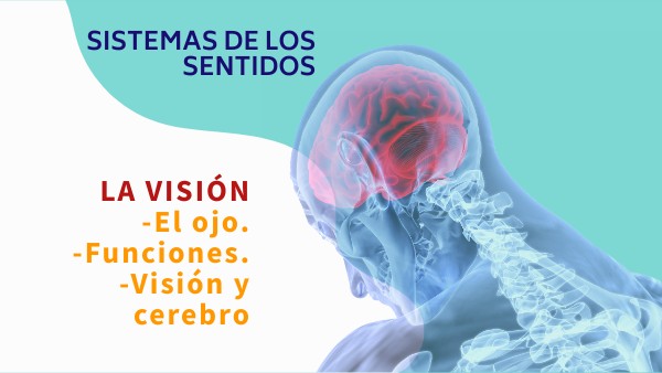 La visión, sentido