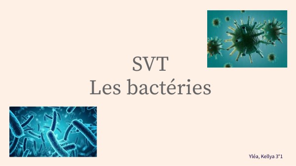 SVT bactérie | Genially