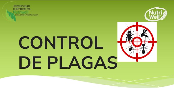 CONTROL DE PLAGAS | Genially