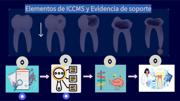 Imagen intectiva de ICCMS