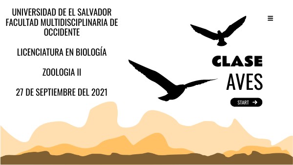 PRESENTACION CLASE AVES | Genially