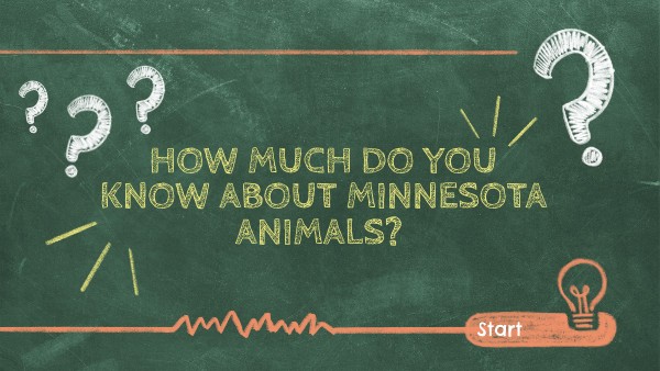 Minnesota Animals