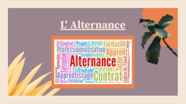 Contrat de professionnalisation et d'apprentissage | Genially
