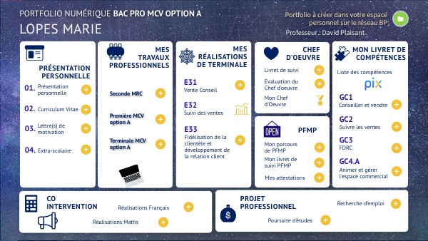 Portfolio BAC PRO MCV option A | Genially