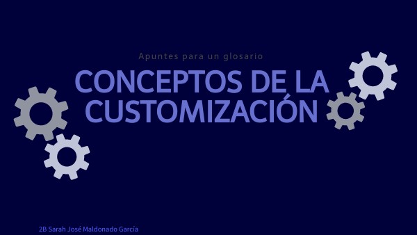 GLOSARIO DE CUSTOMIZACION