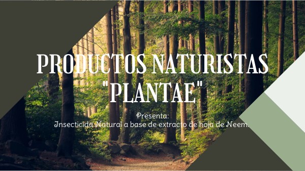 INSECTICIDA NATURAL A BASE DE EXTRACTO DE HOJA DE NEEM