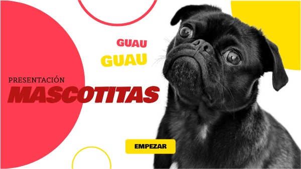 PRESENTACIÓN MASCOTITAS