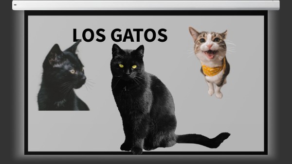 LOS GATOS | Genially
