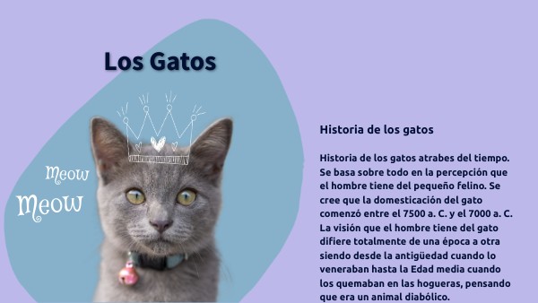 PRESENTACIÓN DE MICHIS | Genially