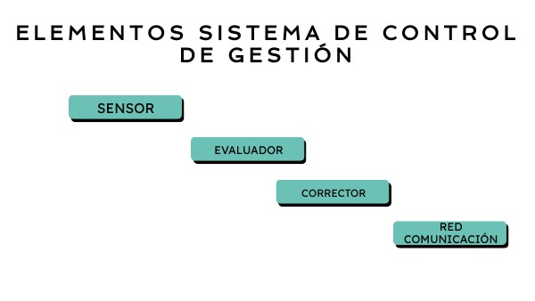 Elementos Sistema de Control de Gestión