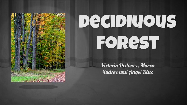 Deciduous forest | Genially