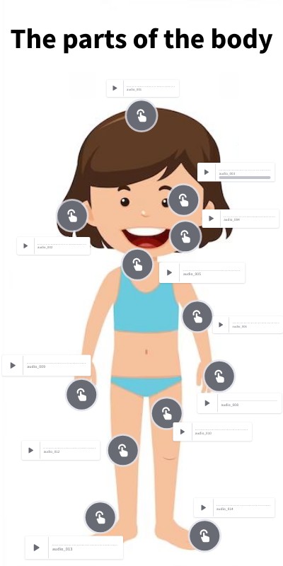 The parts of the body