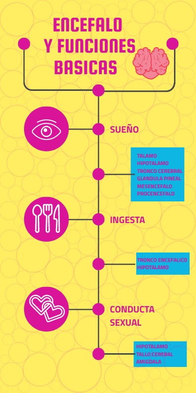 funciones básicas | Genially