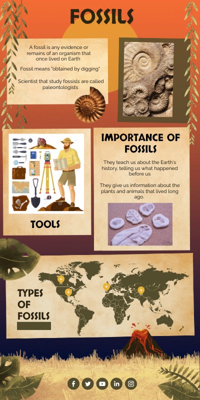 FOSSILS INFORMATION | Genially