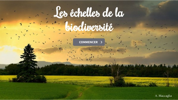 Les échelles de la biodiversité (2nde) | Genially