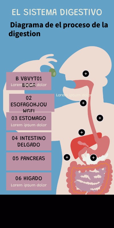 DIGESTIVE VERTICAL INFO