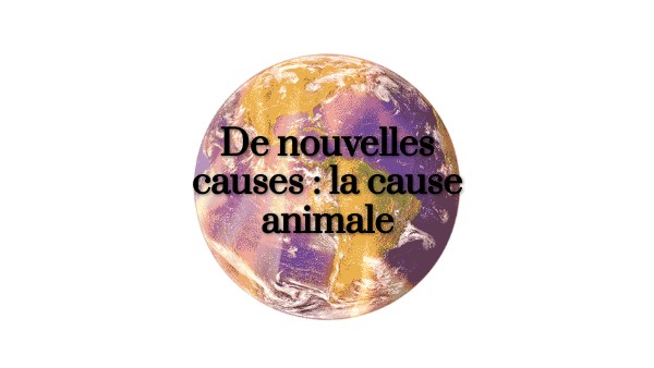 Cause animale