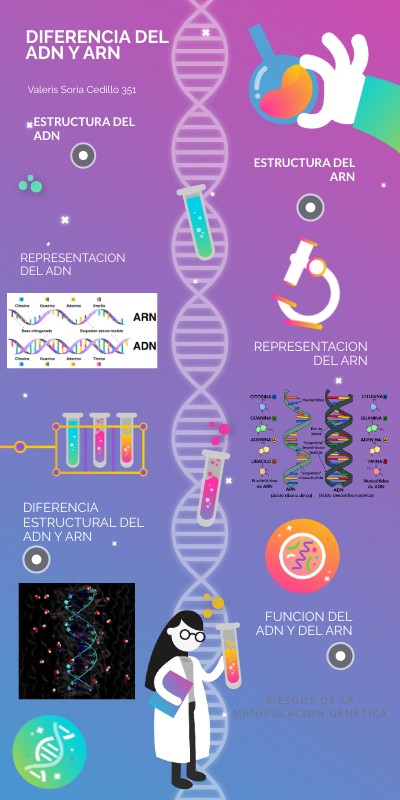 Diferencia entre el adn y arn | Genially