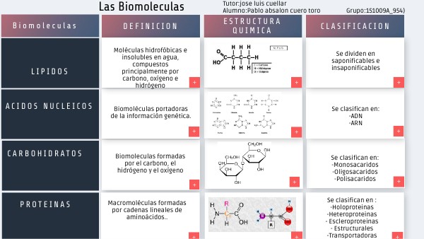Las Biomoleculas | Genially
