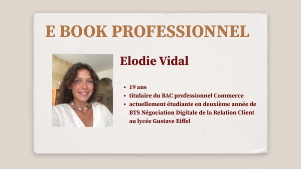E BOOK PROFESSIONNEL | Genially