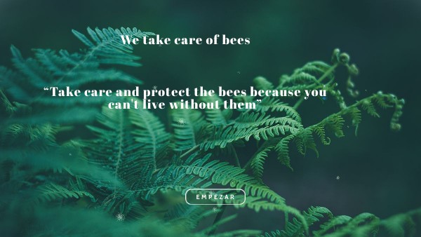 We take care of bees