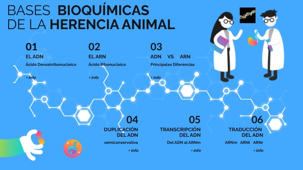 Bases bioquímicas de la herencia animal. | Genially