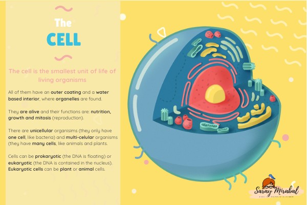 The Cell
