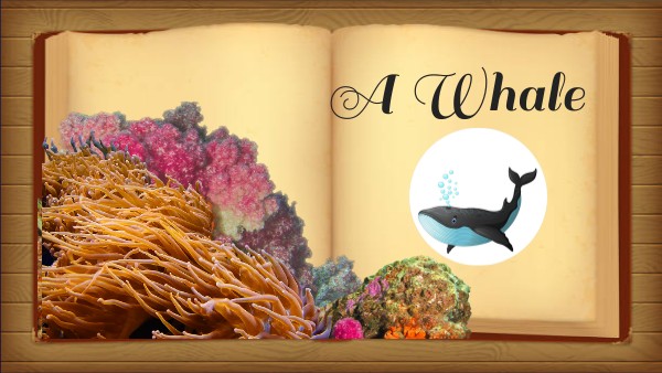 whale level 1- Suarez | Genially