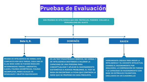 MAPA CONCEPTUAL PRUEBAS DE EVALUACION