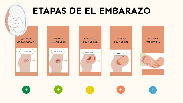 EMBARAZO Y PARTO | Genially