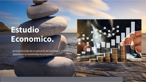 ESTUDIO ECONOMICO.