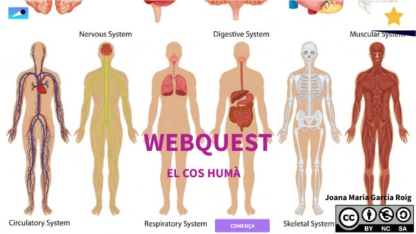 webquest el cos humà | Genially