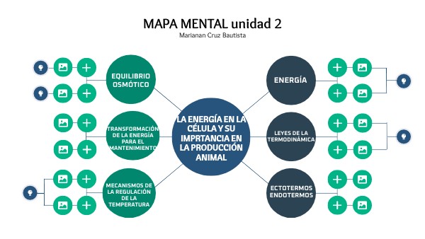 MAPA MENTAL ESQUEMA CIRCULAR | Genially