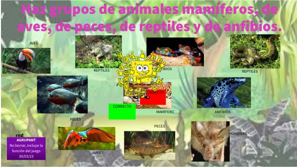 Animales vertebrados de la jungla | Genially