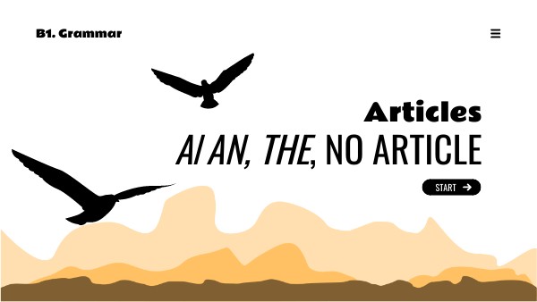 Articles: 'a' / 'an', 'the', no article