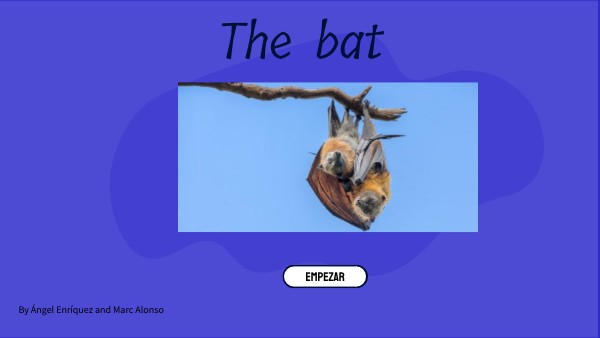 THE BAT