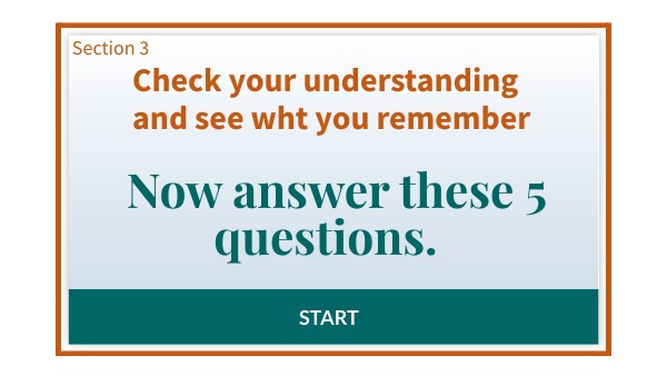 Enjoy Travels quiz | Genially