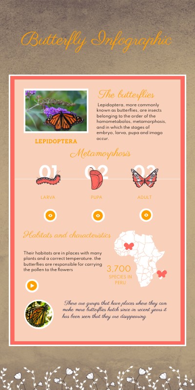 INFO VERTICAL MARIPOSAS | Genially