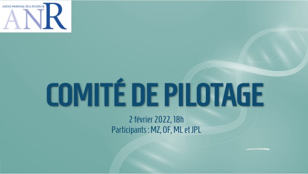 Comité de pilotage | Genially