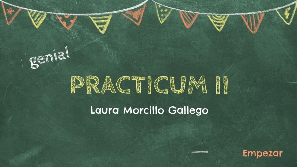 PRACTICUM II