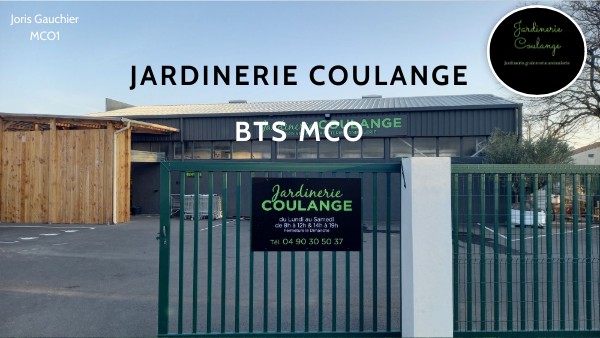 Copie - JORIS GAUCHIER bts mco | Genially