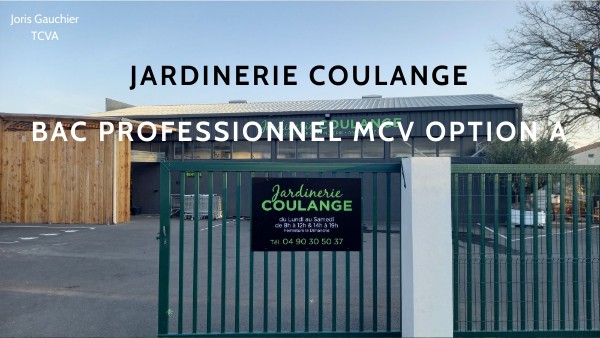 Dernier grand oral- JORIS GAUCHIER FDRC BAC | Genially