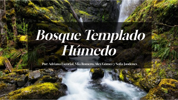 Bosque templado húmedo | Genially